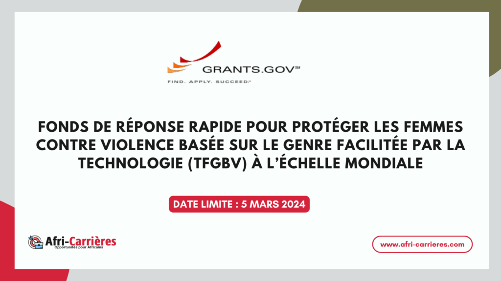Fonds De Réponse Rapide TFGBV 2024 Pour ONG Du Monde