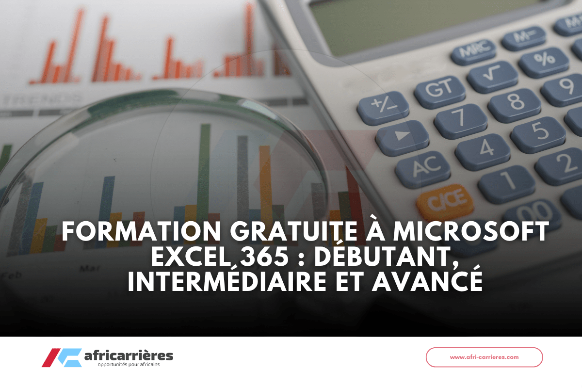 Formation Gratuite à Microsoft Excel 365 : Tous Niveaux